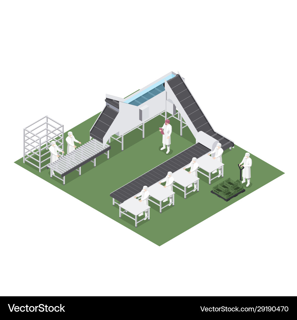 Automated production line with machinery Vector Image