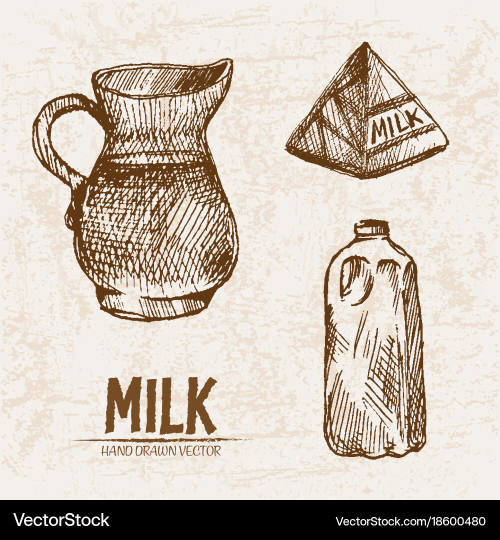 Digital detailed line art milk Royalty Free Vector Image