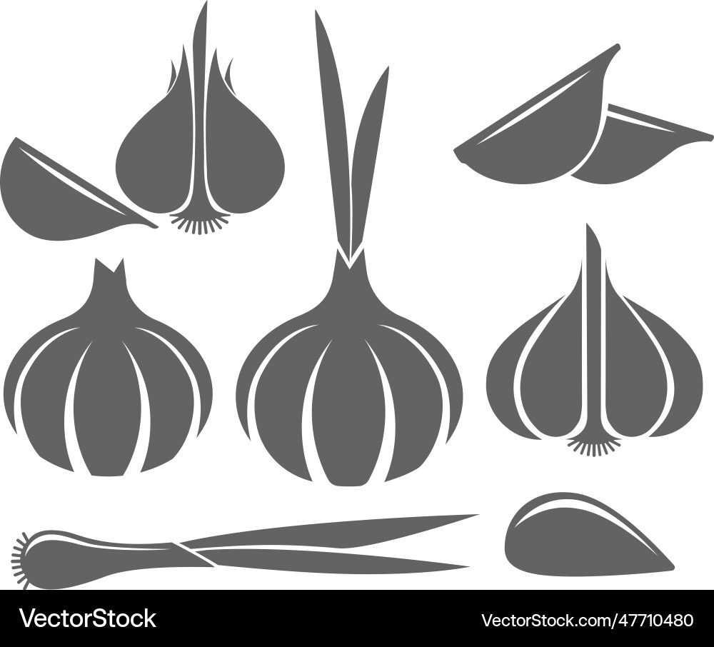 Garlic monochrome icons Royalty Free Vector Image