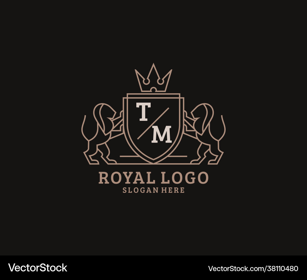 Initial tm letter lion royal luxury logo template Vector Image