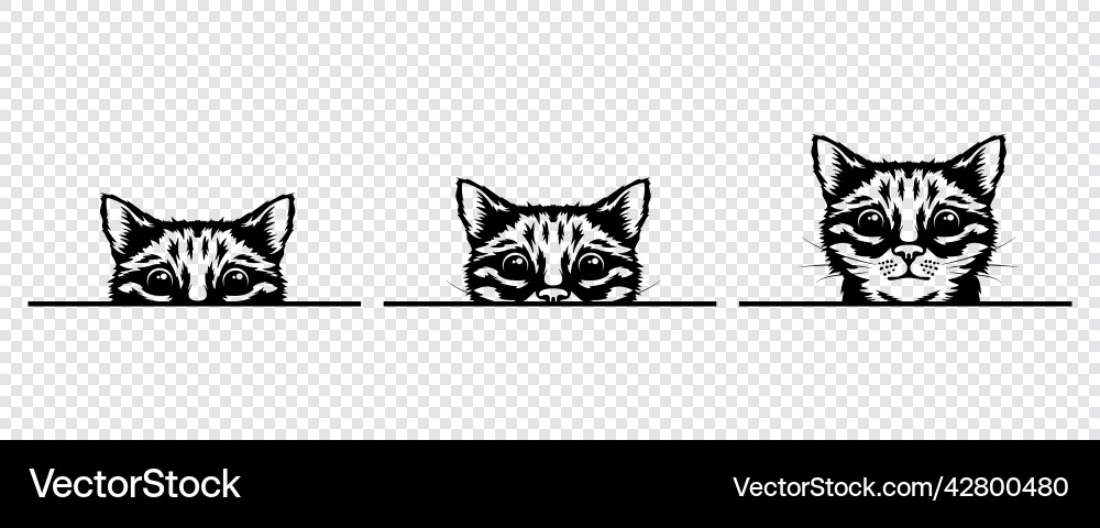 Monochrome hand drawm black white hiding Vector Image