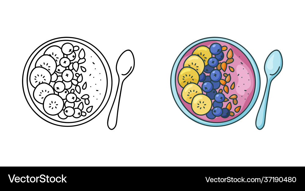 Smoothie bowl doodle icon linear and color Vector Image