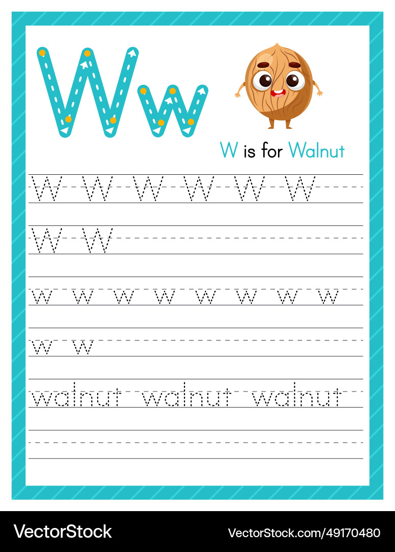 Trace letter w uppercase and lowercase alphabet Vector Image
