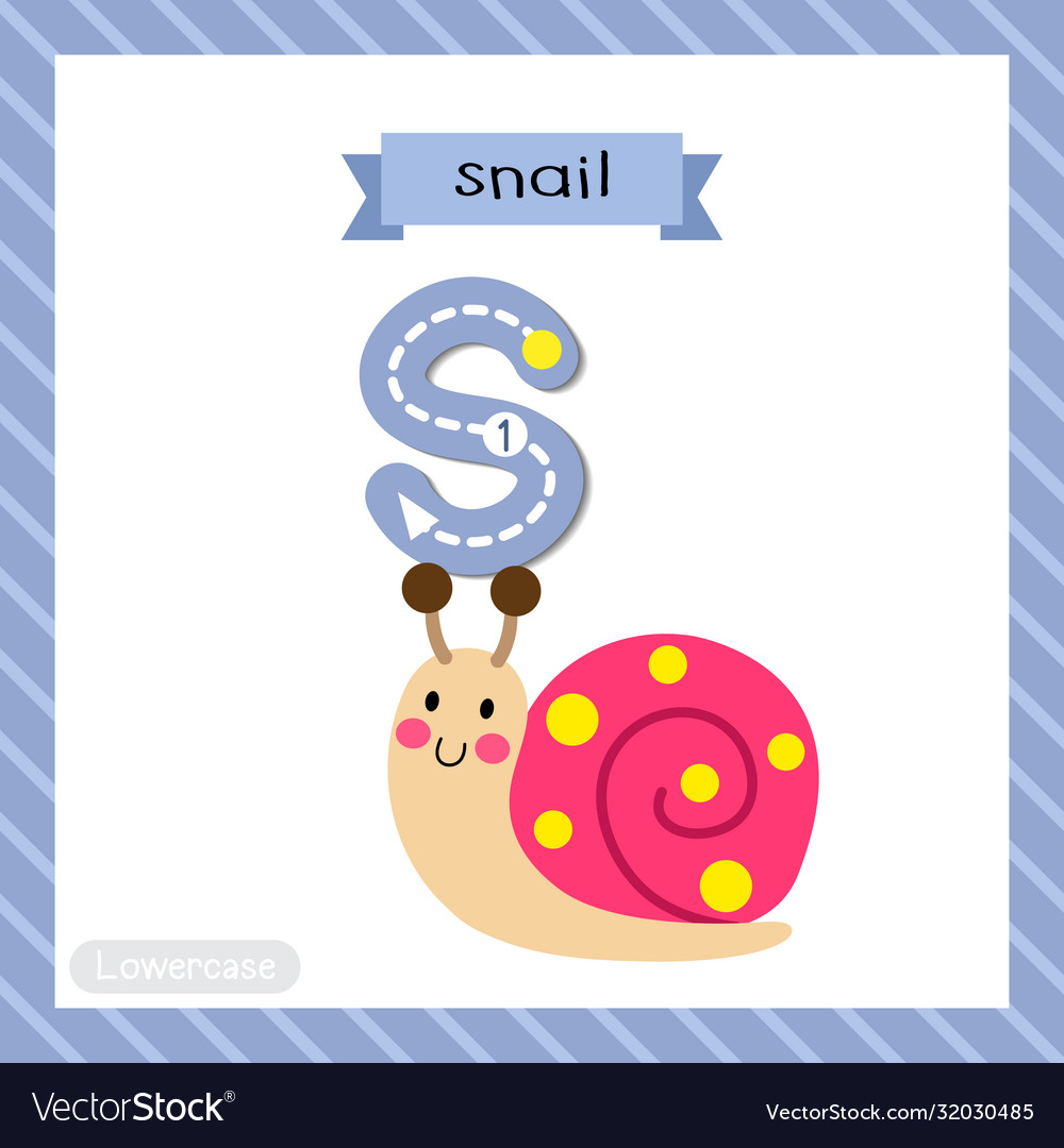 Letter s lowercase tracing colorful snail Vector Image