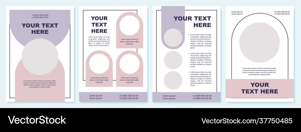 Options in advertising brochure template Vector Image