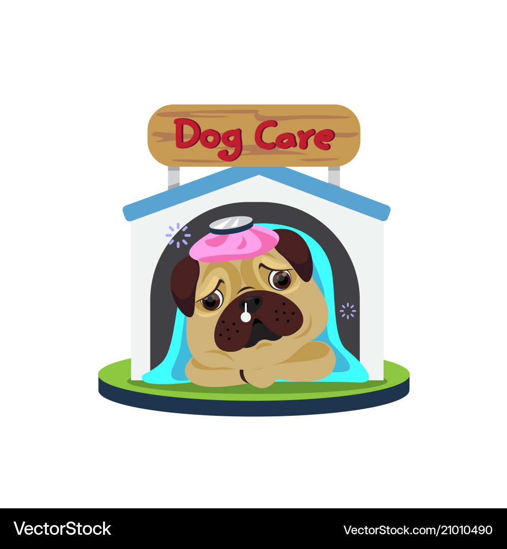 Dog care Royalty Free Vector Image - VectorStock