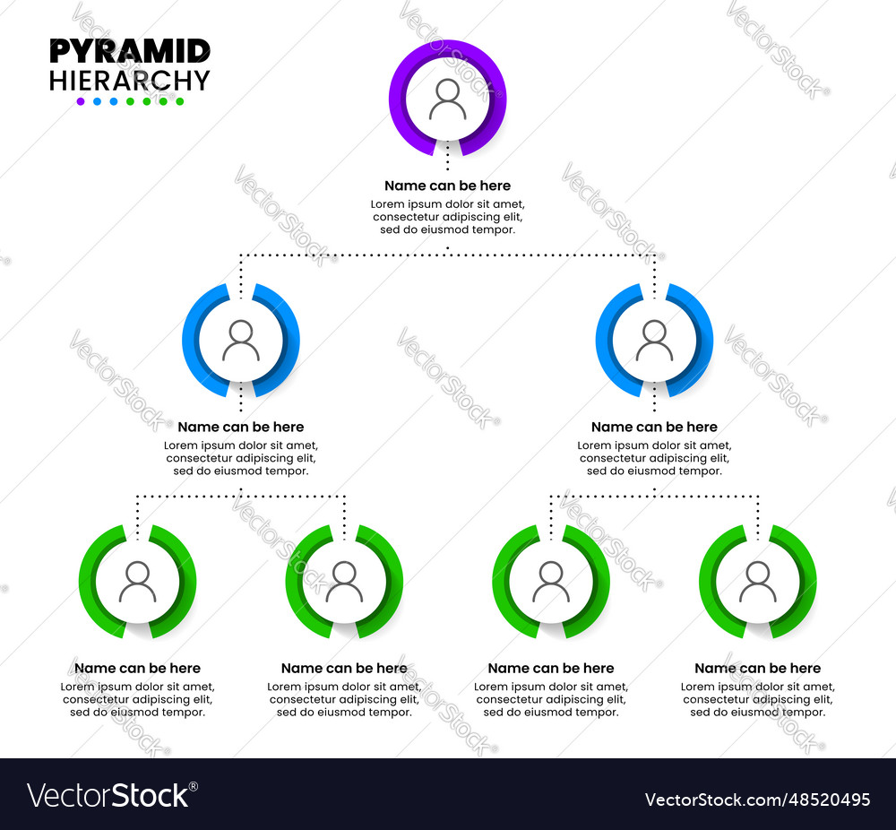 Infographic template pyramid hierarchy with space Vector Image