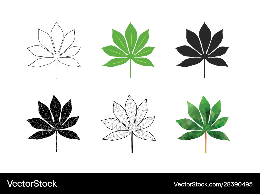 Set cassava leaves isolated on white background Vector Image