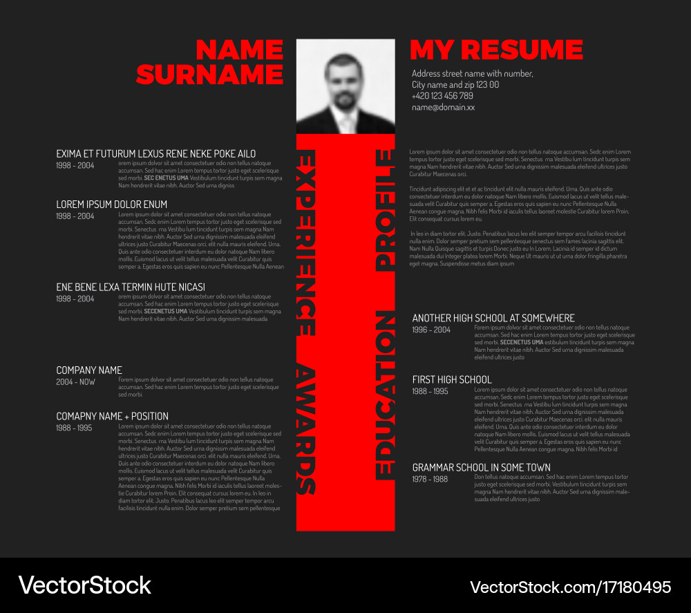 Typographic minimalist cv resume template Vector Image