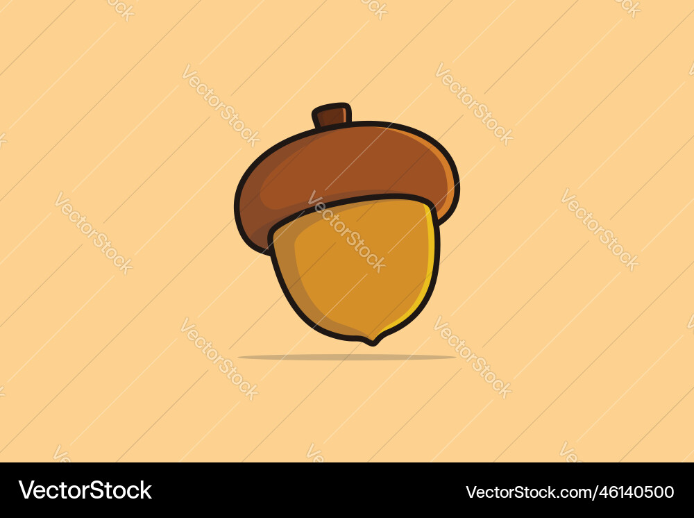 Acorn nut and food Royalty Free Vector Image - VectorStock