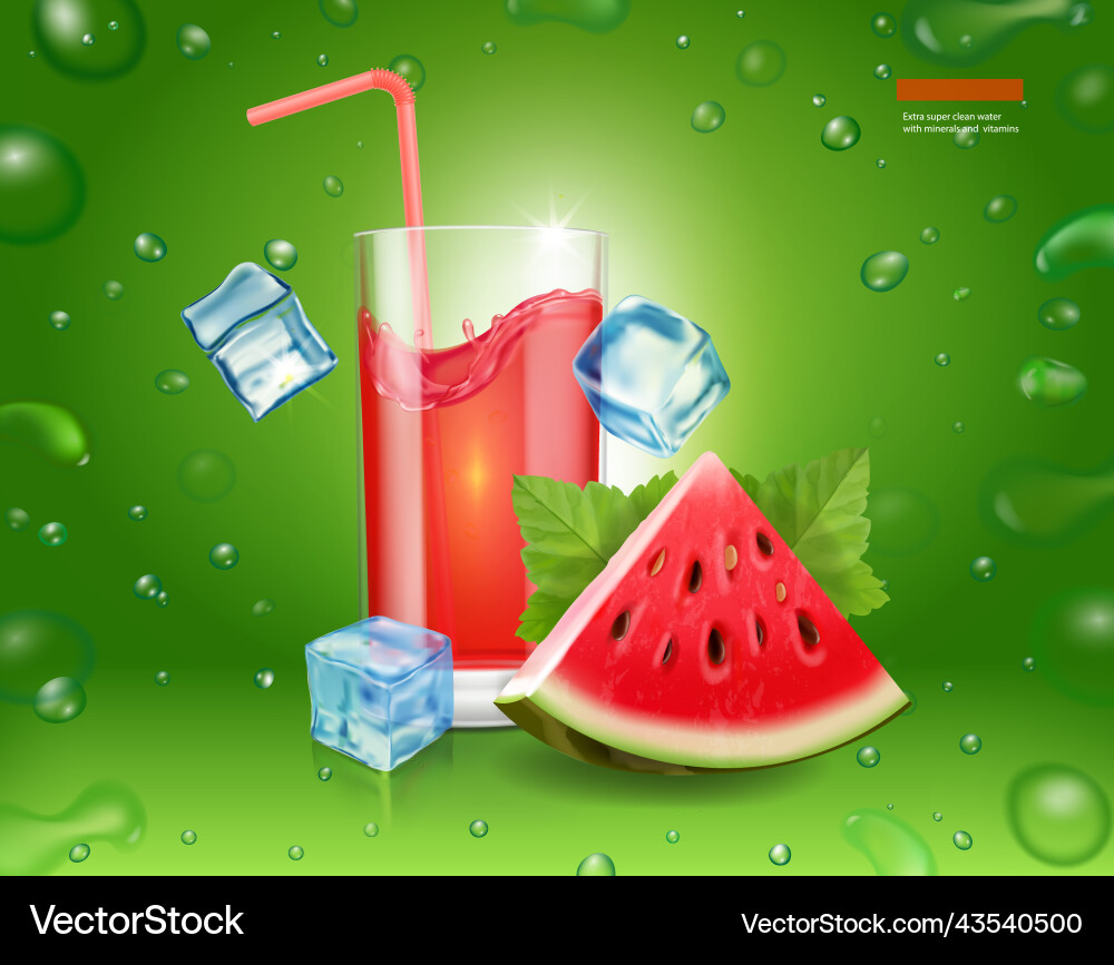 Fresh watermelon juice in drinking glass Vector Image