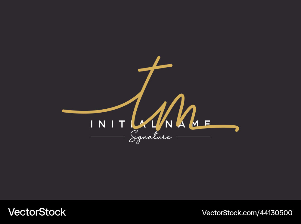 Initial tm signature logo template hand drawn Vector Image