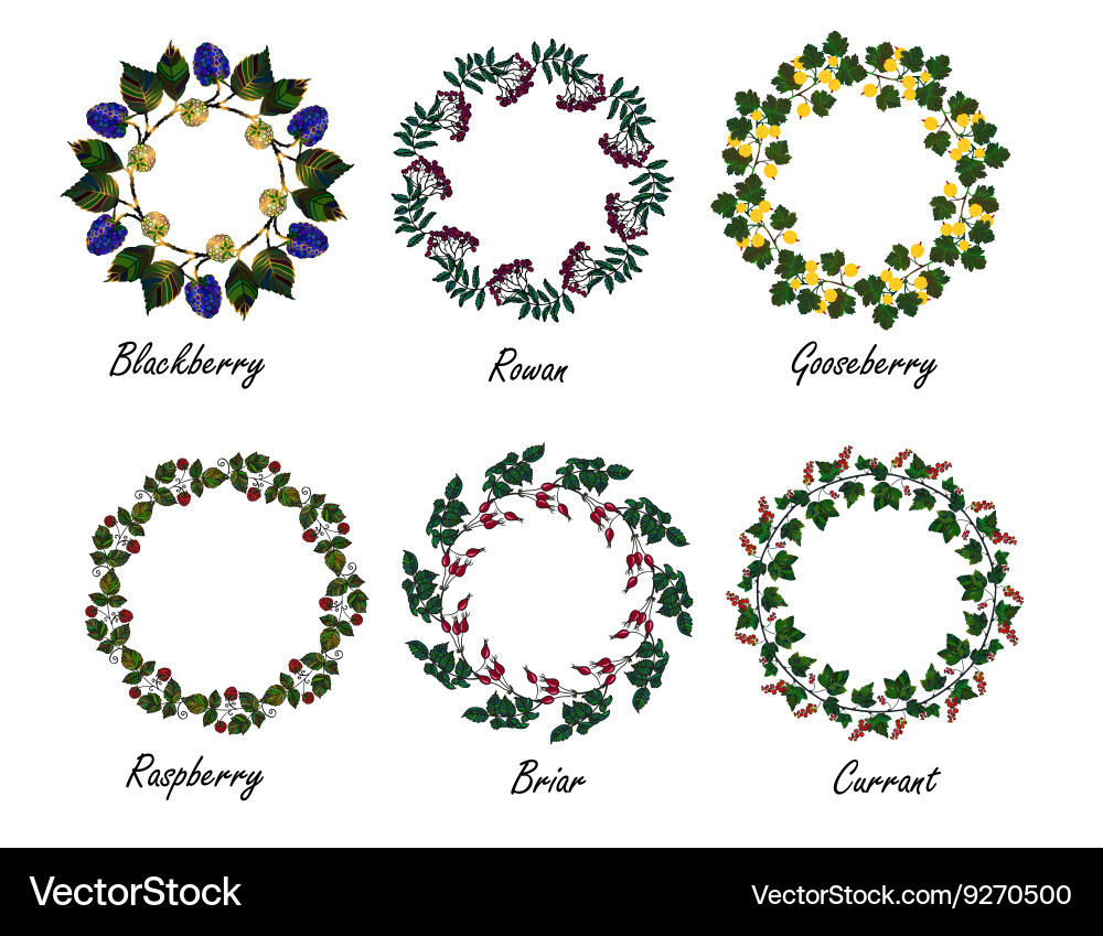 Set of berry frames - wreath Royalty Free Vector Image