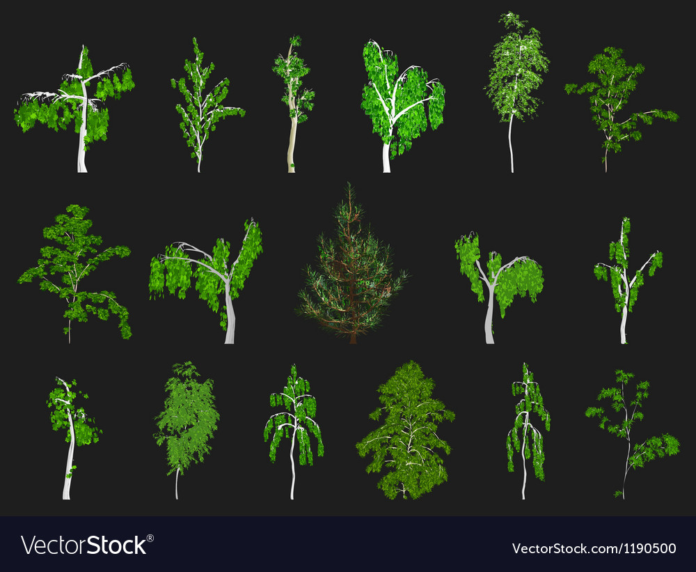 Set of Trees Royalty Free Vector Image - VectorStock