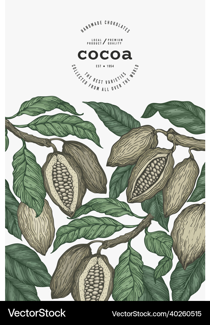 Cocoa color banner template chocolate retro Vector Image