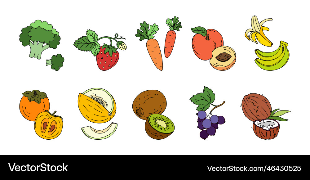 Exotic fruit set doodle color isolated on white Vector Image