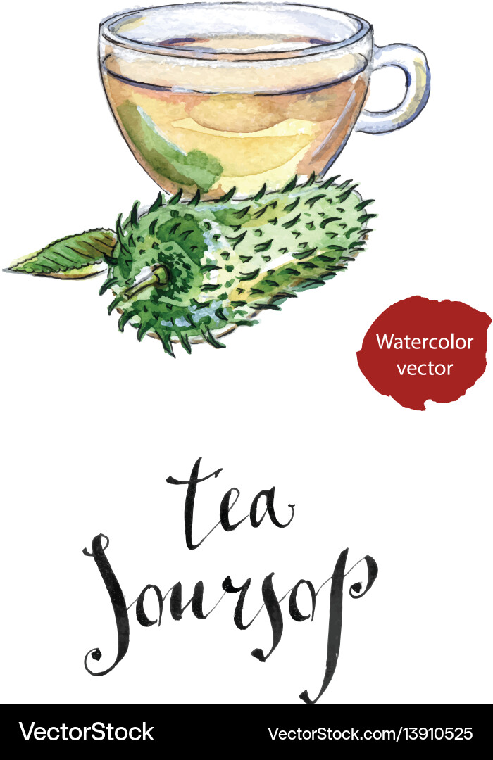Glass cup soursop ceilona tea Royalty Free Vector Image
