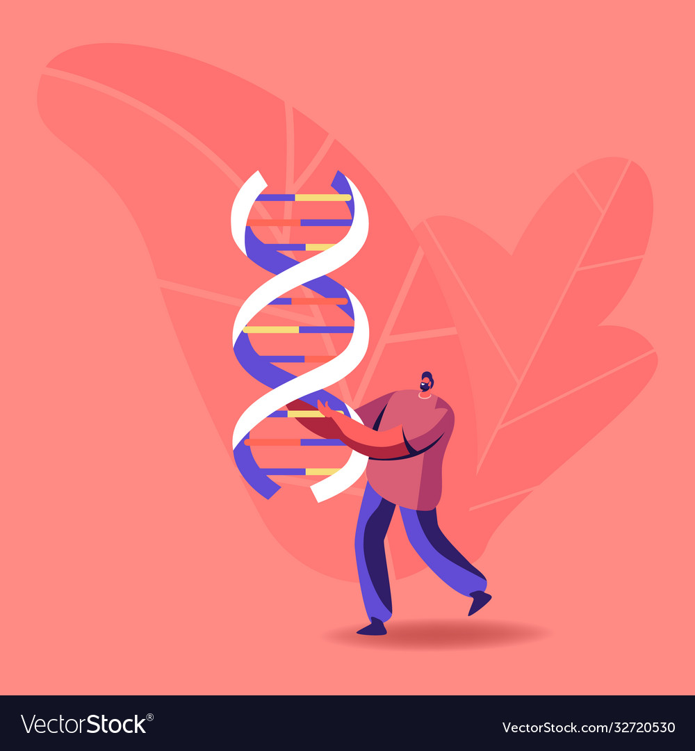 Tiny Male Character Carry Huge Dna Spiral Doctor Vector Image