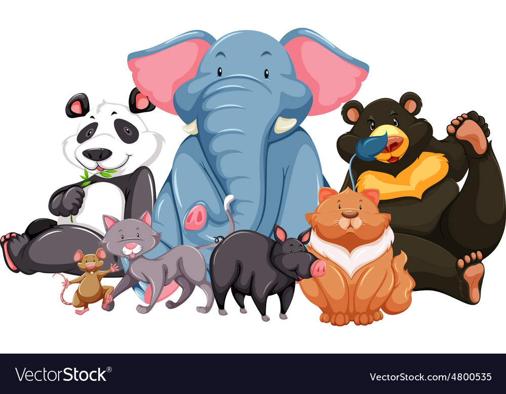 Animals Royalty Free Vector Image - VectorStock