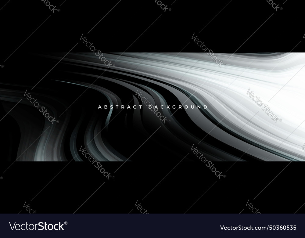 Black and white elegant abstract background Vector Image