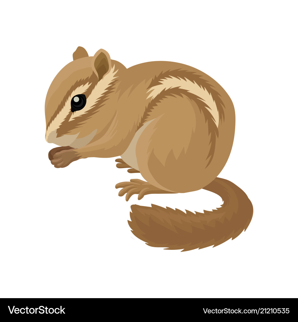 Flat icon of small brown chipmunk Royalty Free Vector Image