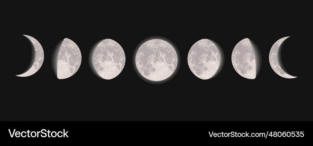 Moon phases full cycle textured surface of moon Vector Image