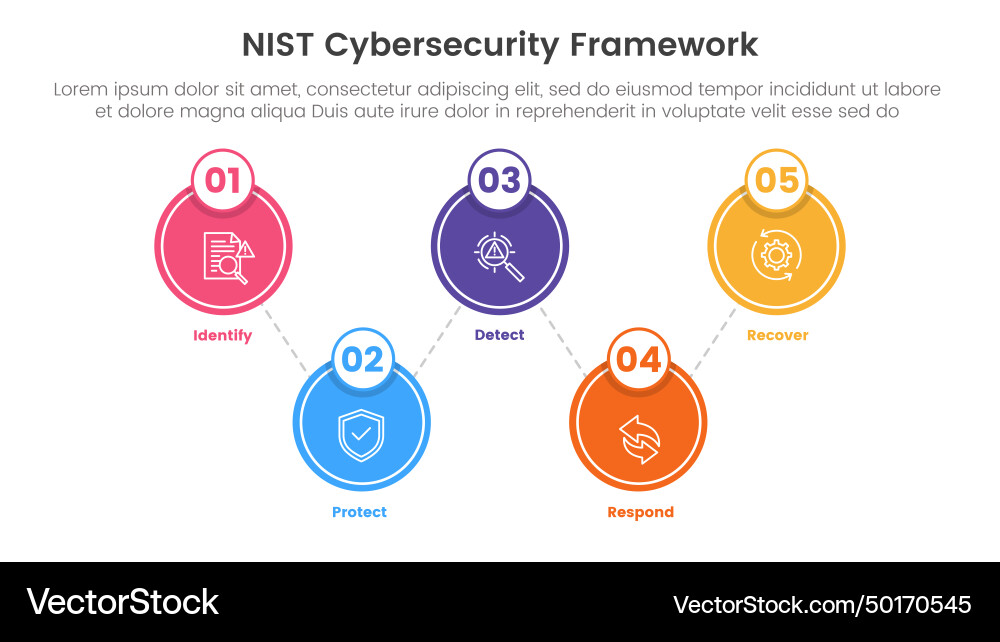 Nist cybersecurity framework infographic 5 point Vector Image