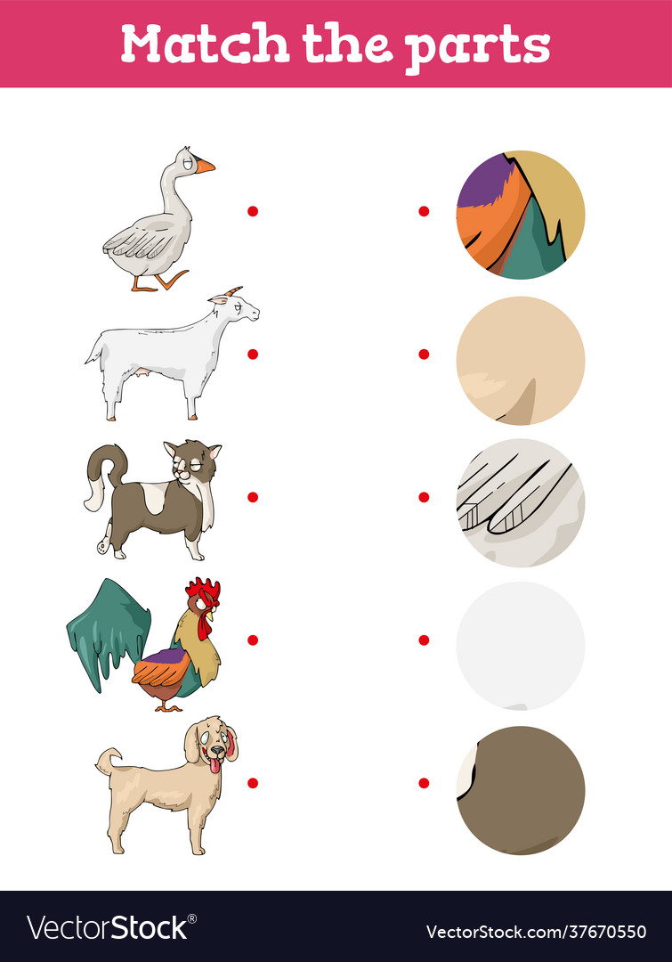 Match part educational game for children Vector Image
