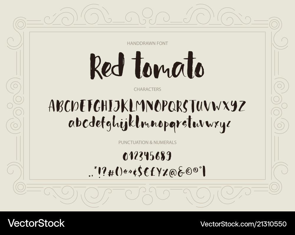 Red tomato handdrawn ink brush font Royalty Free Vector