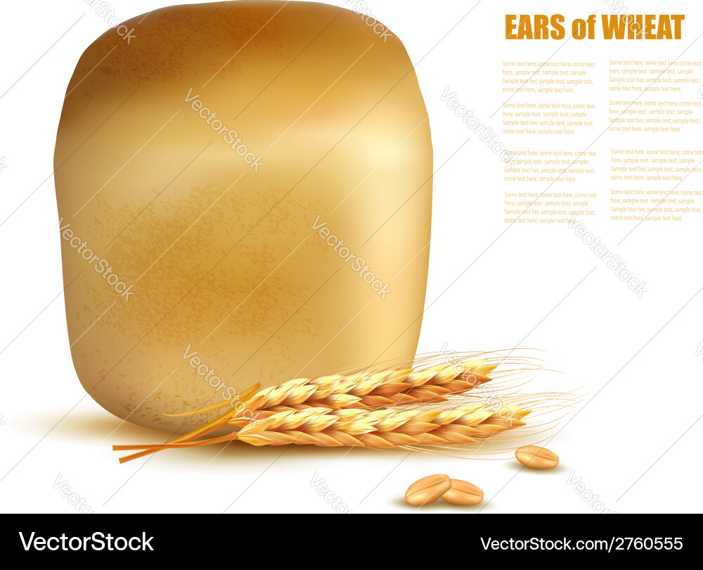 A loaf of bread with grain Royalty Free Vector Image