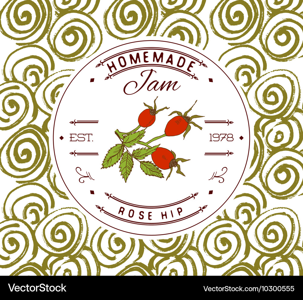 Jam label design template for Rose hip dessert Vector Image