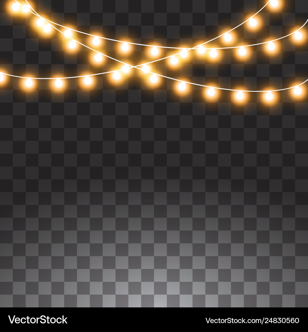 Christmas lights isolated on transparent Vector Image