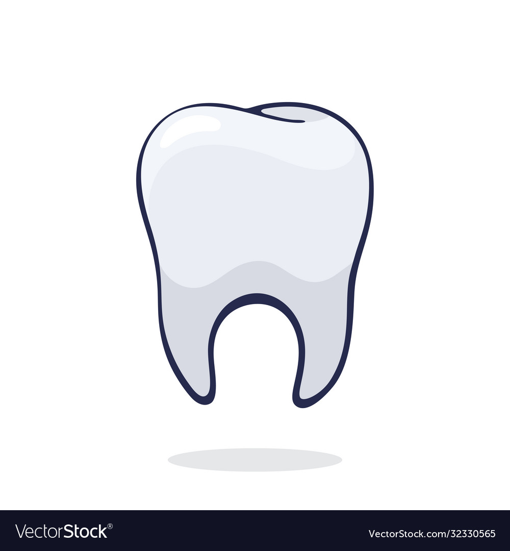 Clean healthy human tooth Royalty Free Vector Image