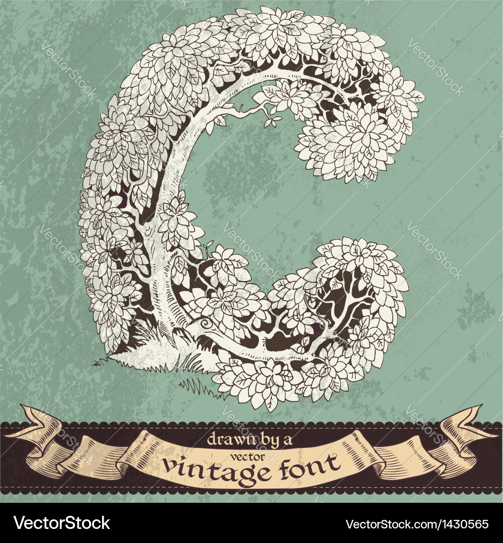 Magic grunge forest hand drawn vintage font - c Vector Image