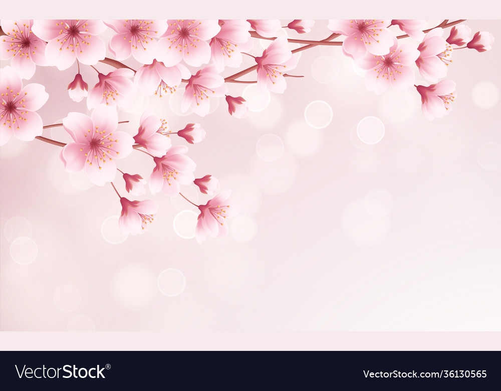 Spring time beautiful background with Royalty Free Vector
