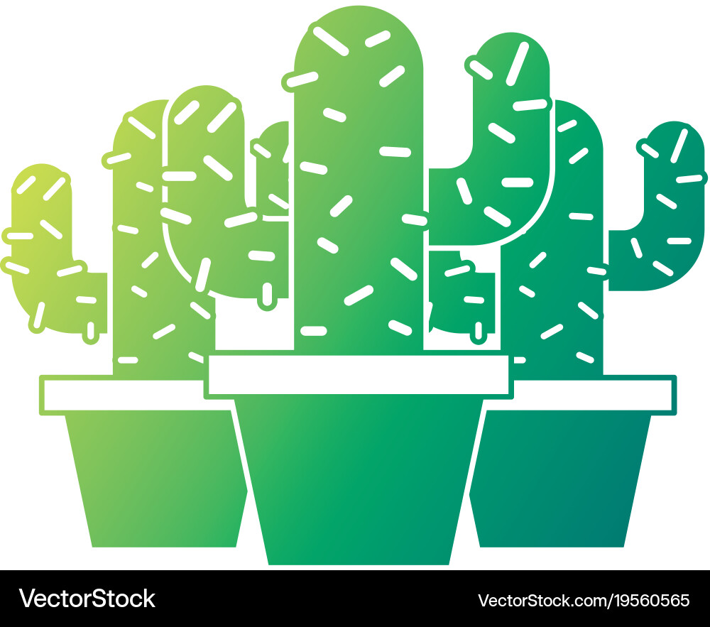 Three potted cactus plant natural Royalty Free Vector Image