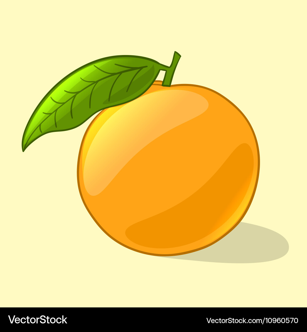 Orange in cartoon style Royalty Free Vector Image