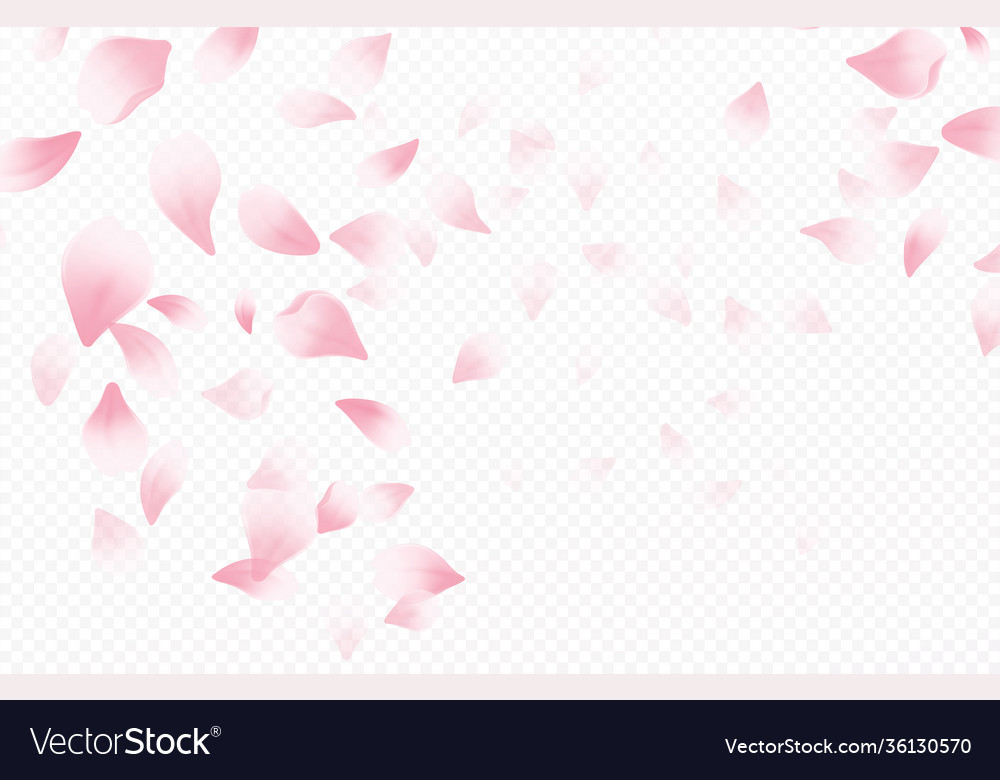 Spring time beautiful background with Royalty Free Vector