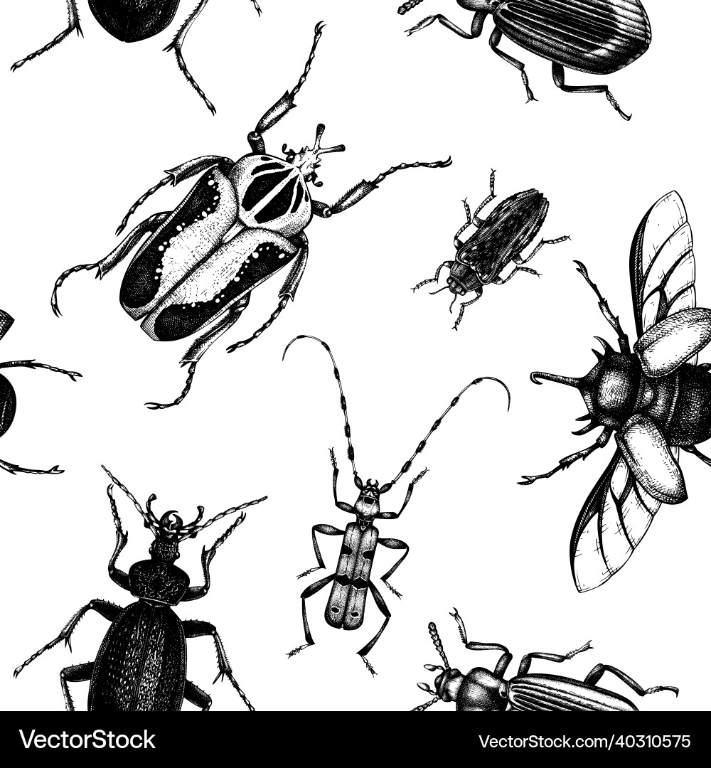 Backdrop with high detailed insects sketches hand Vector Image