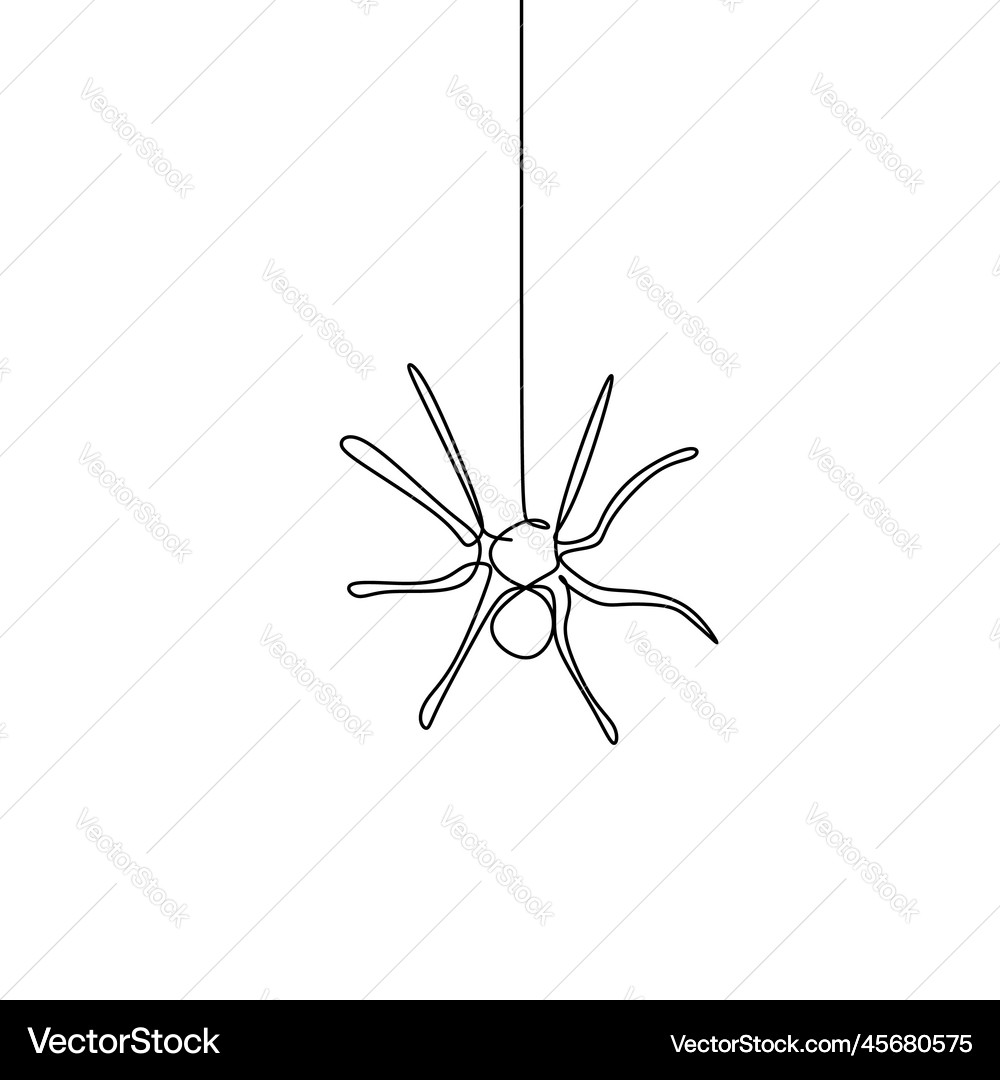 Drawing a continuous line of spider animals Vector Image