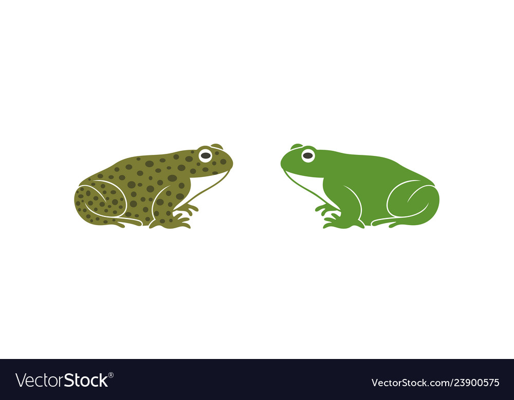 Toad Royalty Free Vector Image - VectorStock