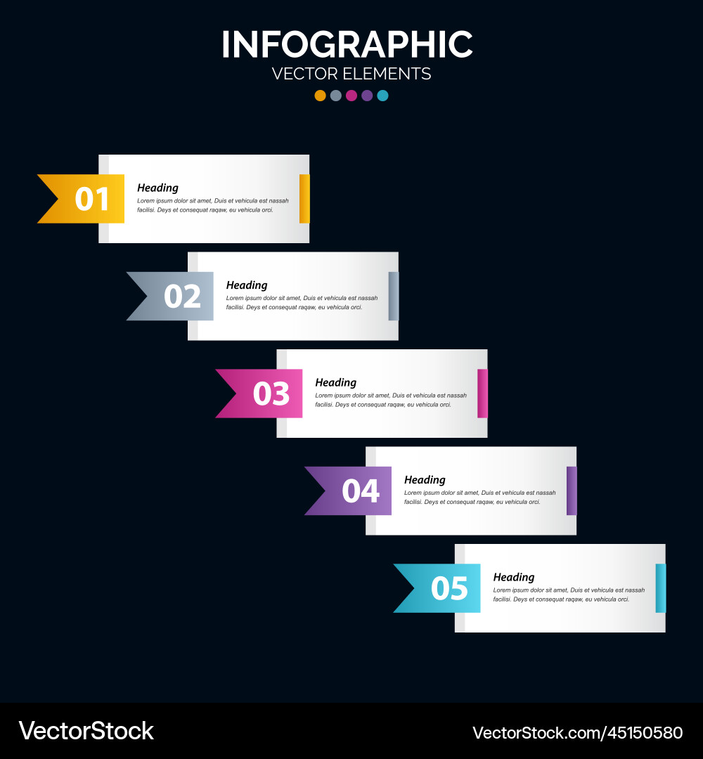 5 option infographics diagram annual report web Vector Image