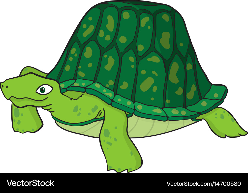 Cartoon image of turtle Royalty Free Vector Image