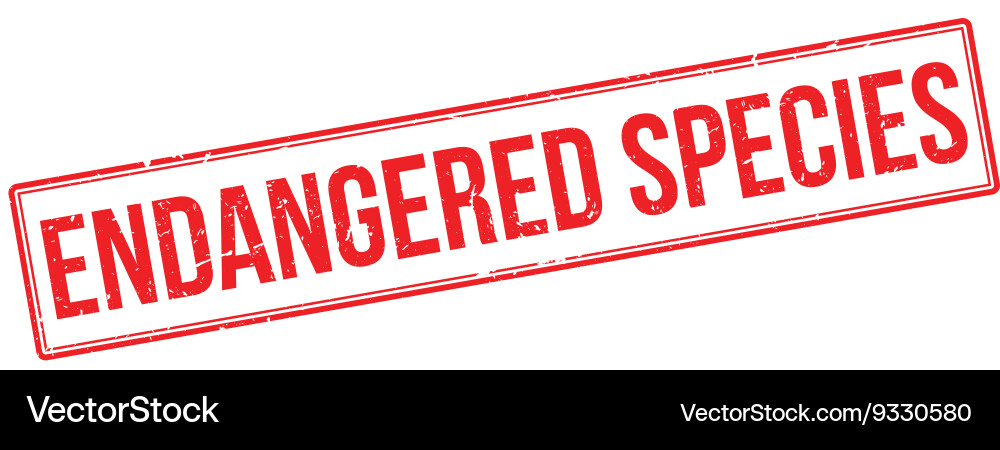 Endangered species red rubber stamp on white Vector Image