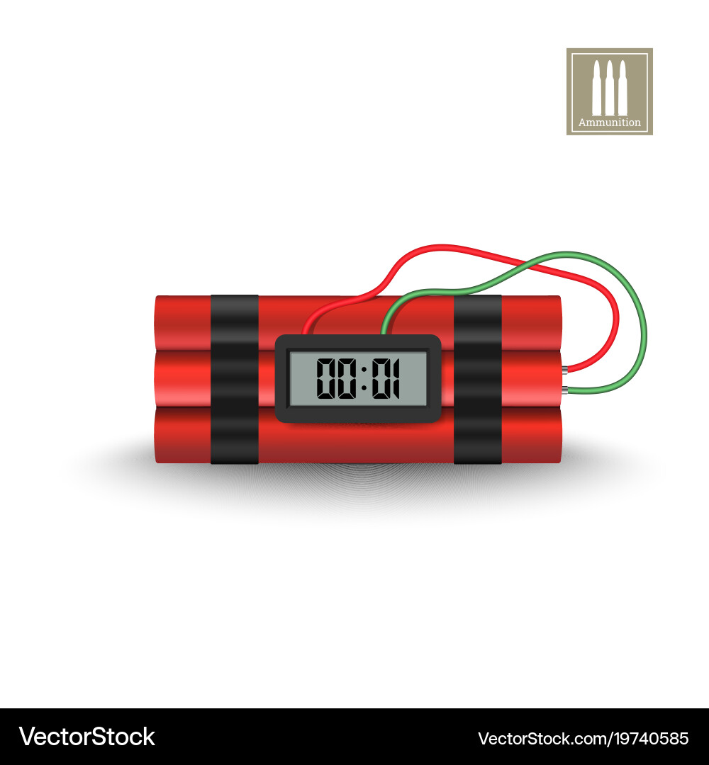 Detailed realistic image of dinamite with timer Vector Image