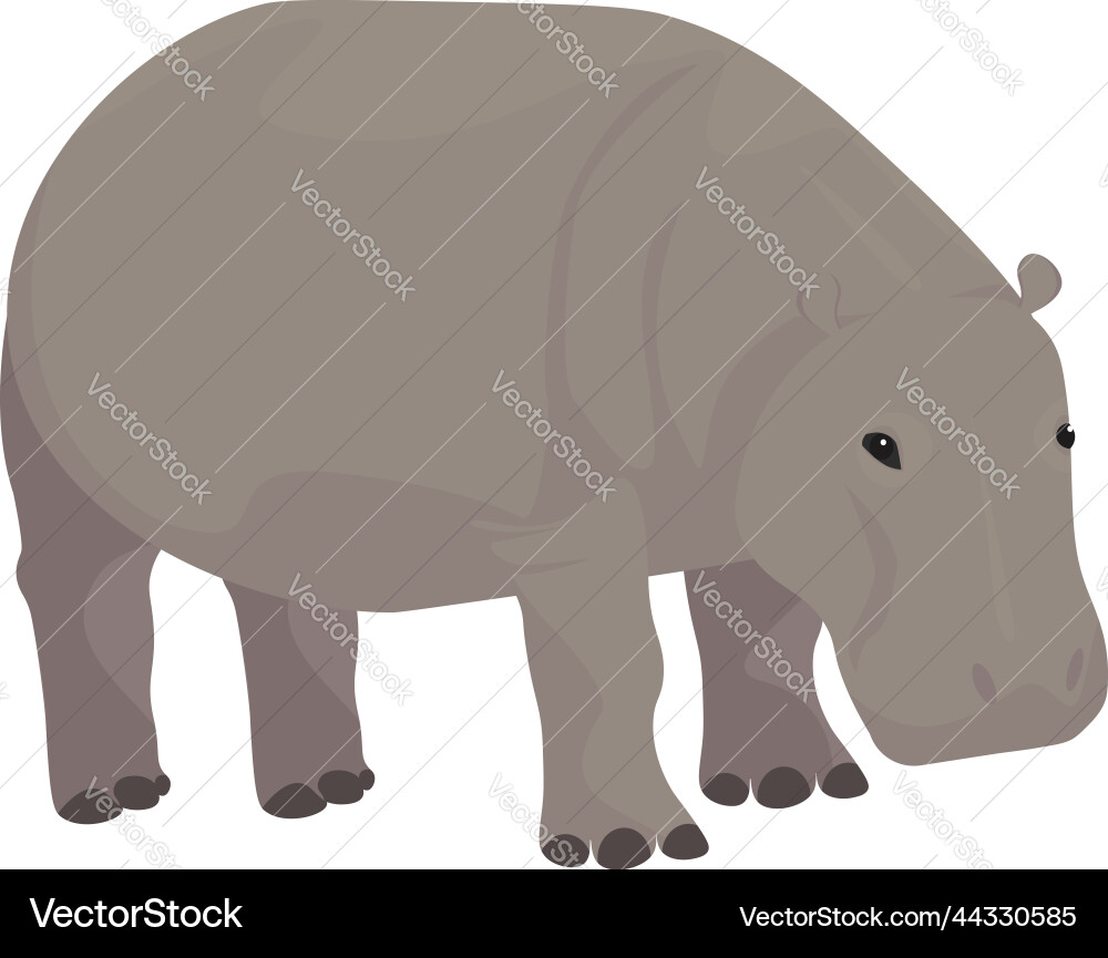 Hippopotamus animal on a white background Vector Image