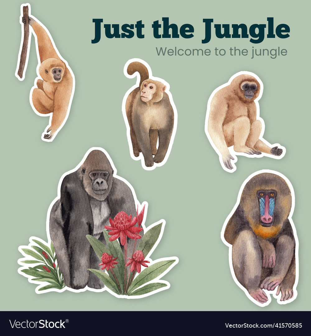 Sticker template with monkey in the jungle Vector Image