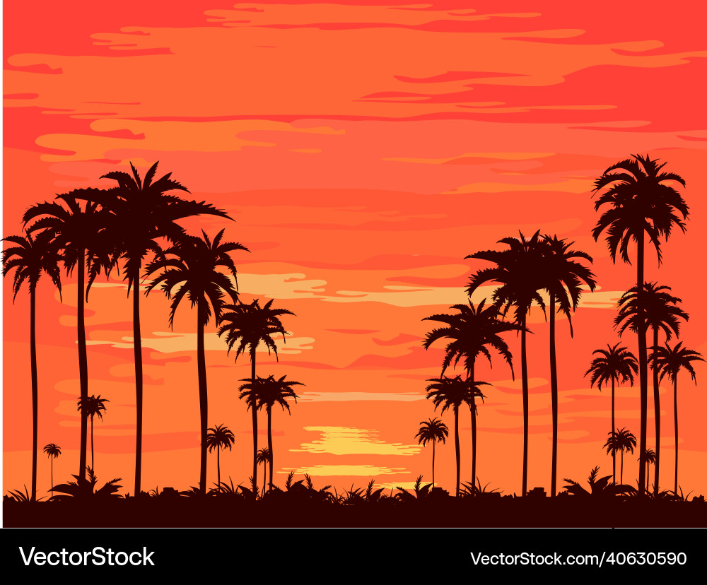 Evening on the beach summer orange sky Royalty Free Vector