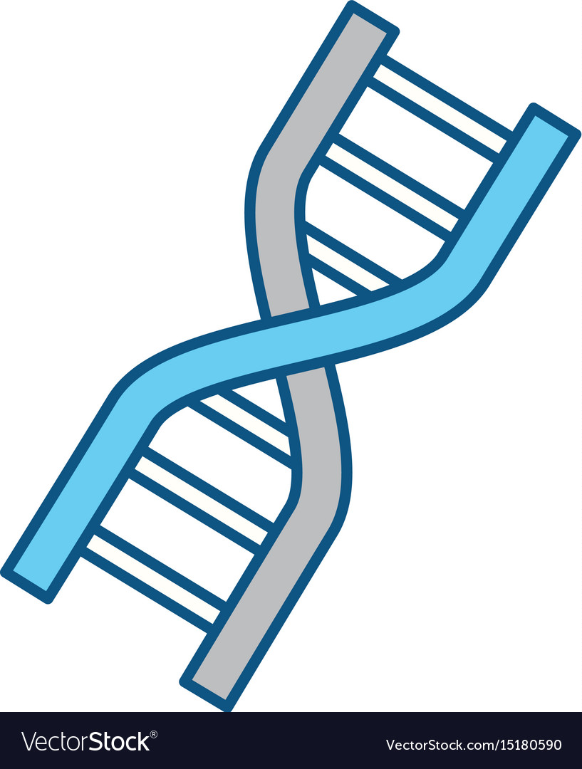 Genetic code Royalty Free Vector Image - VectorStock