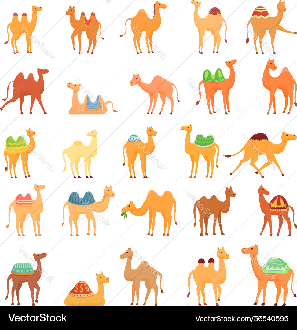 Camel icons set cartoon style Royalty Free Vector Image
